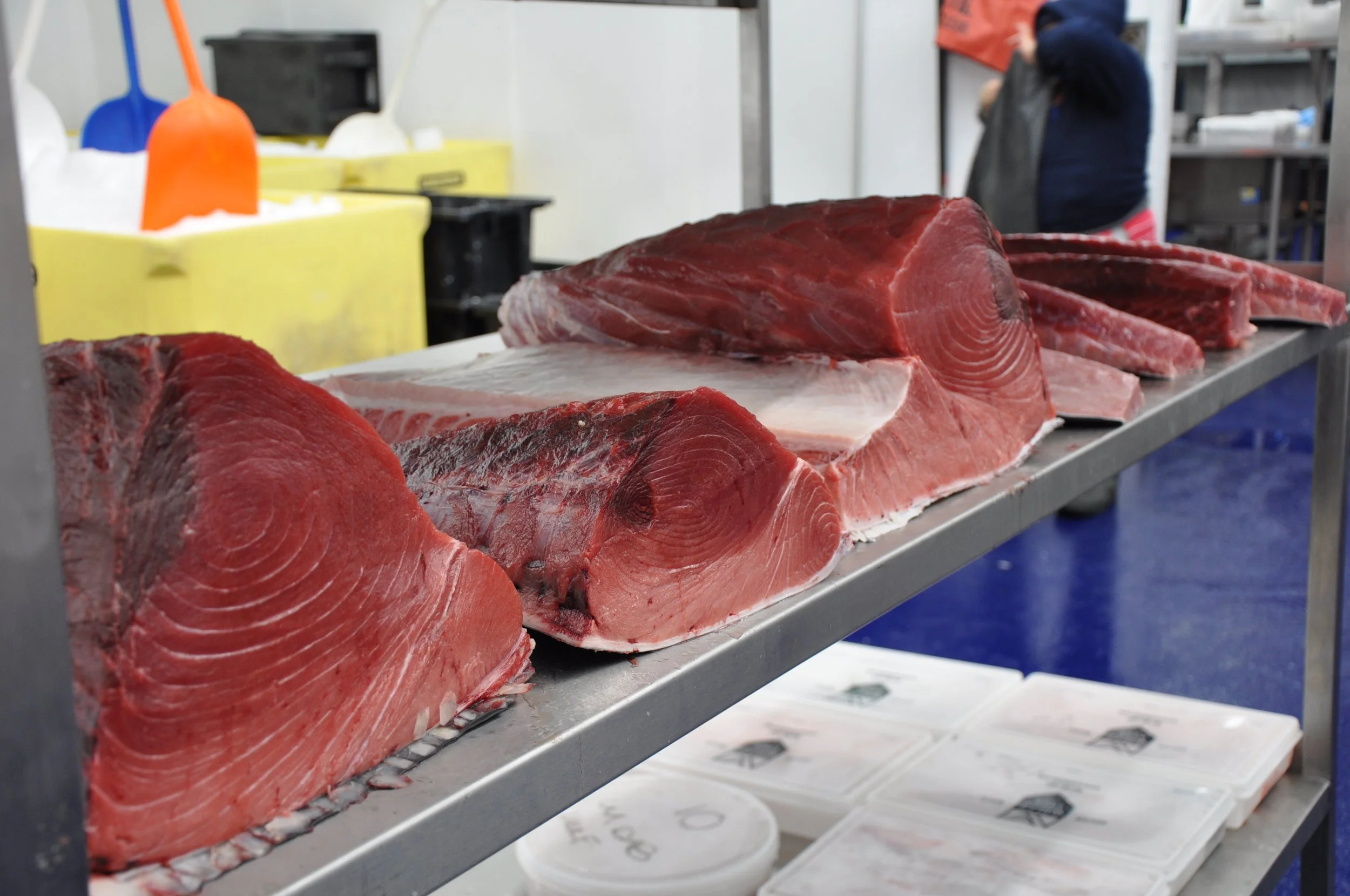 History - a Century of Seafood — Wulf's Fish Wholesale