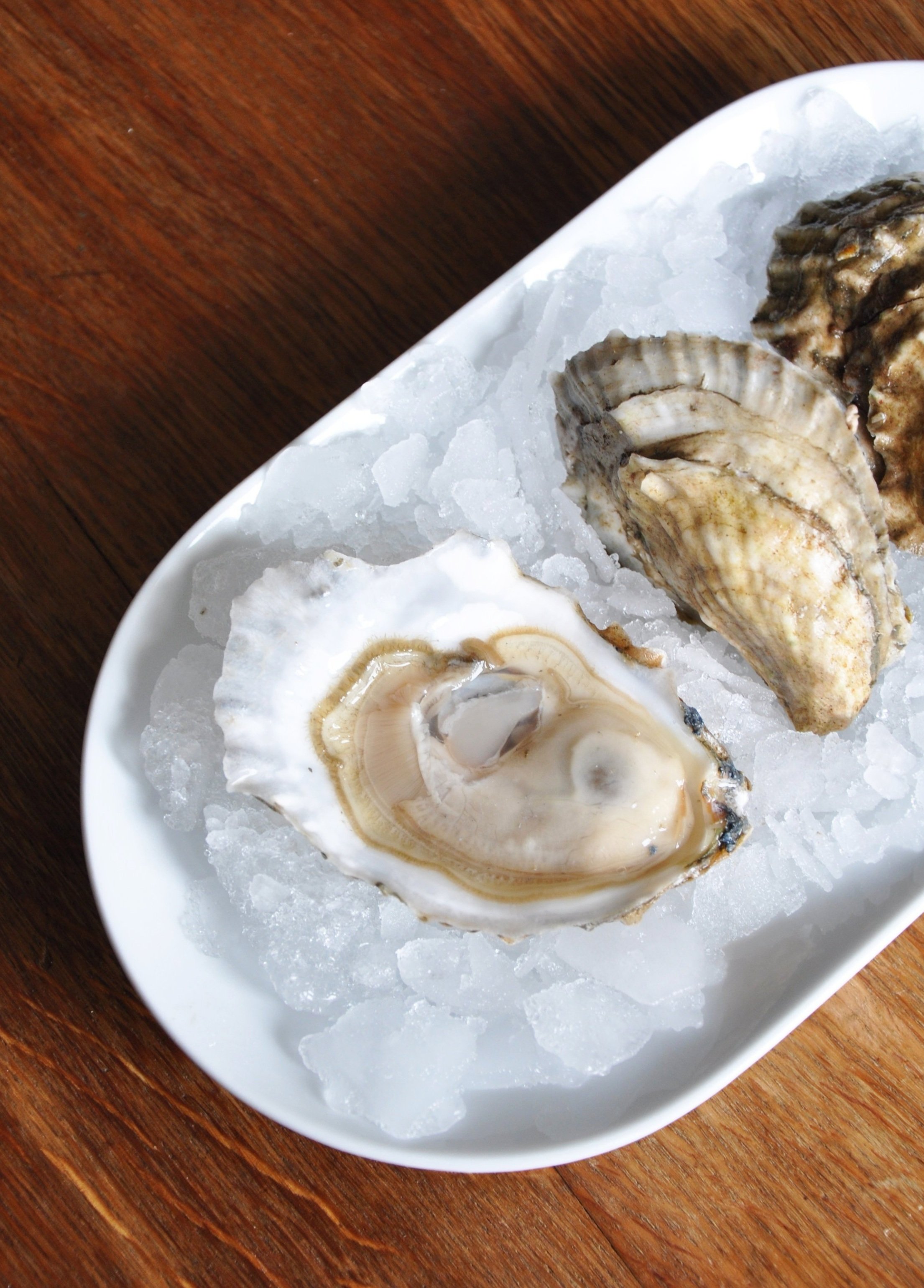 Oysters — Wulf's Fish Wholesale