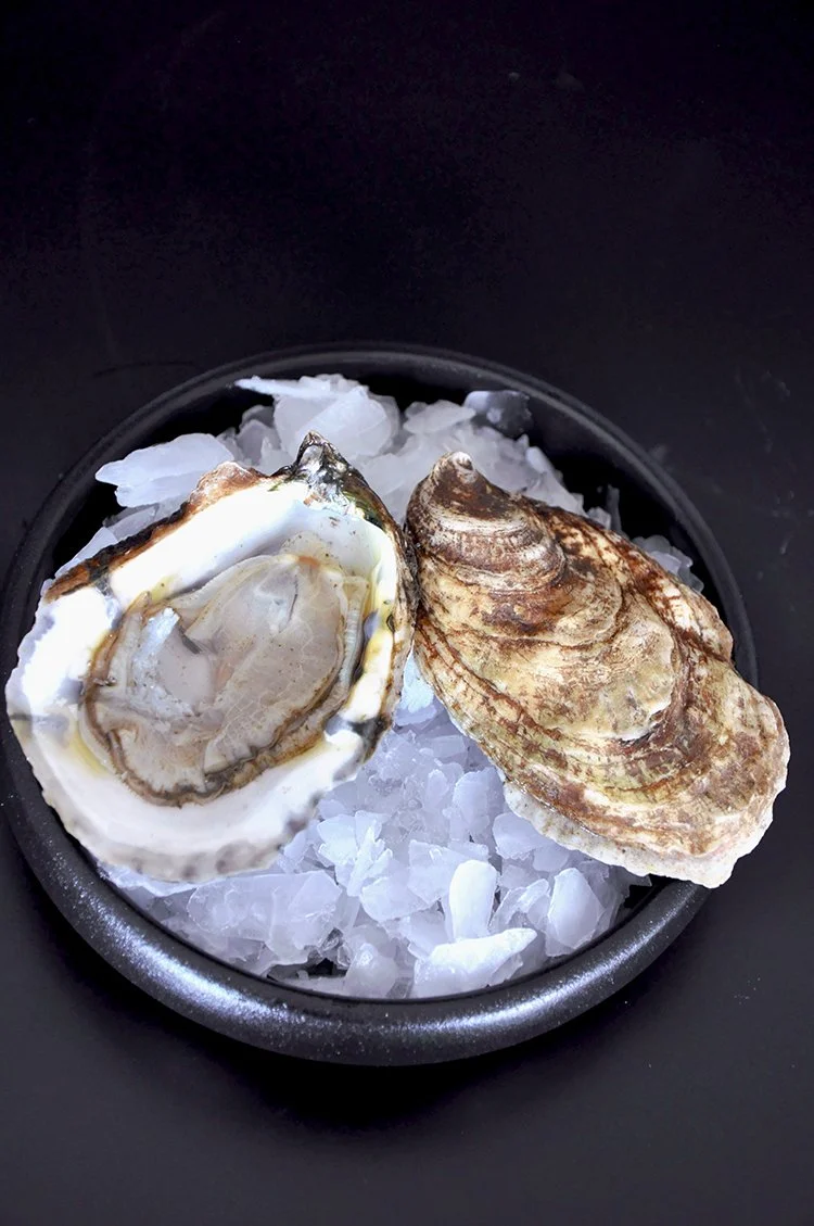 Oysters — Wulf's Fish Wholesale