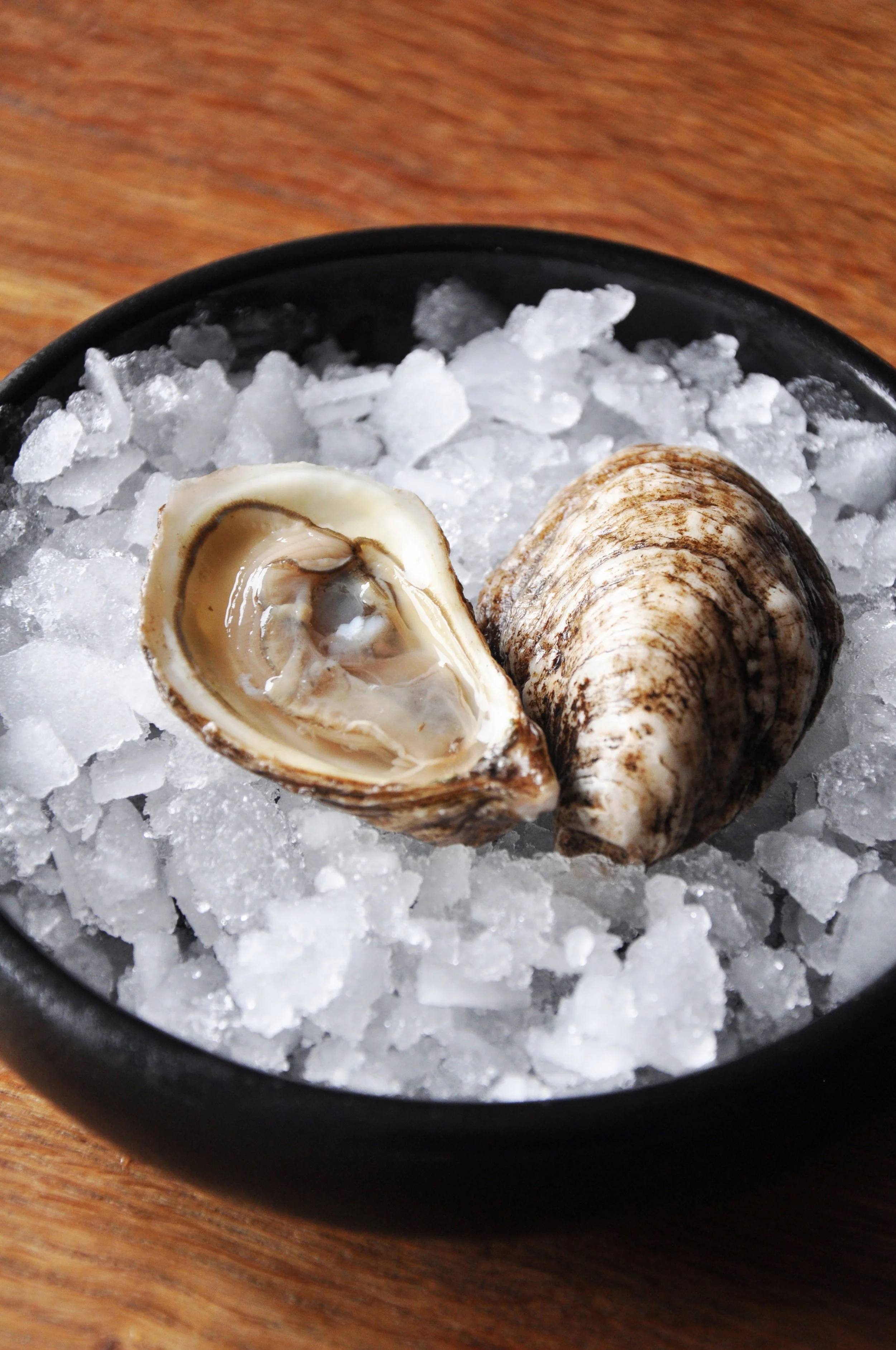 Oysters — Wulf's Fish Wholesale