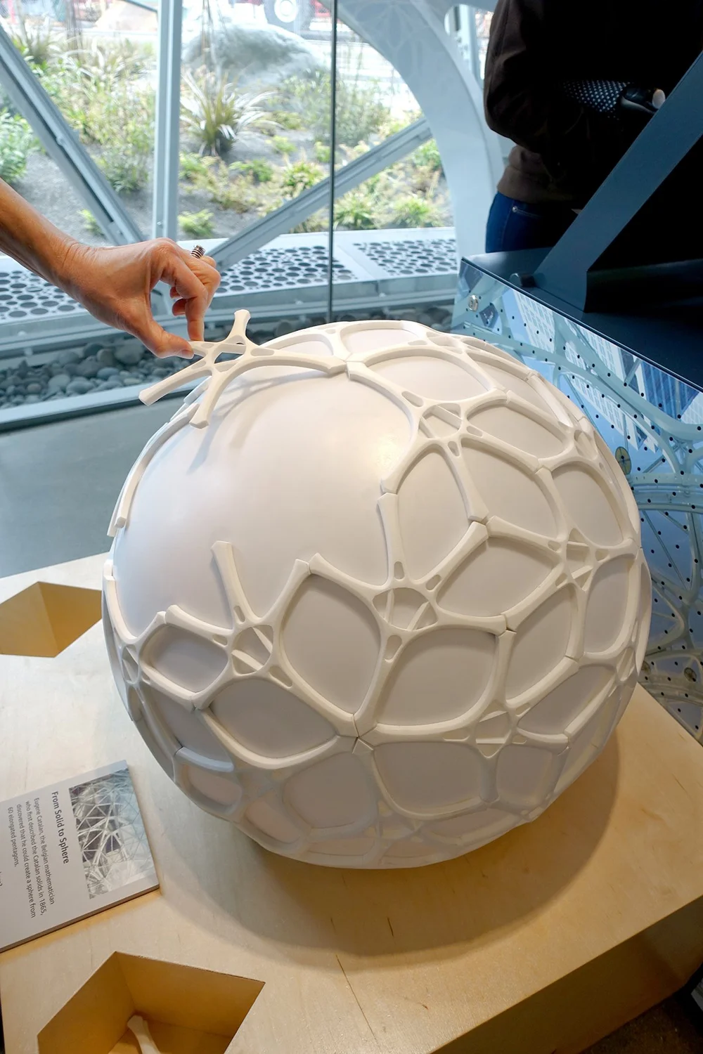 Amazon Spheres | Understory Exhibits — Dillon Works