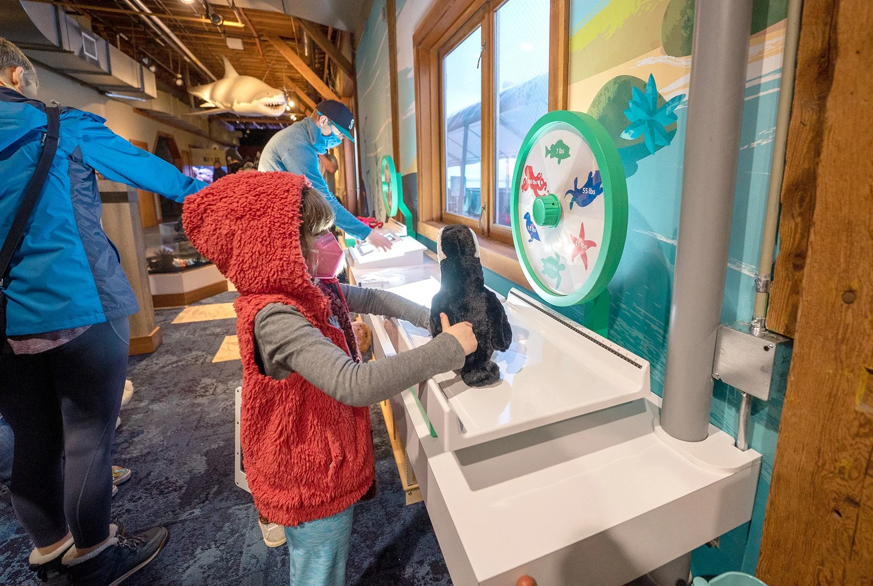 Seattle Aquarium Interactive & Educational Displays — Dillon Works