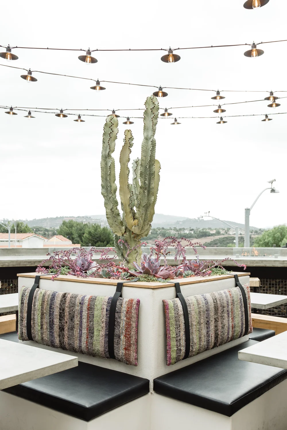 Modern Taco Taqueria — Valletta Design