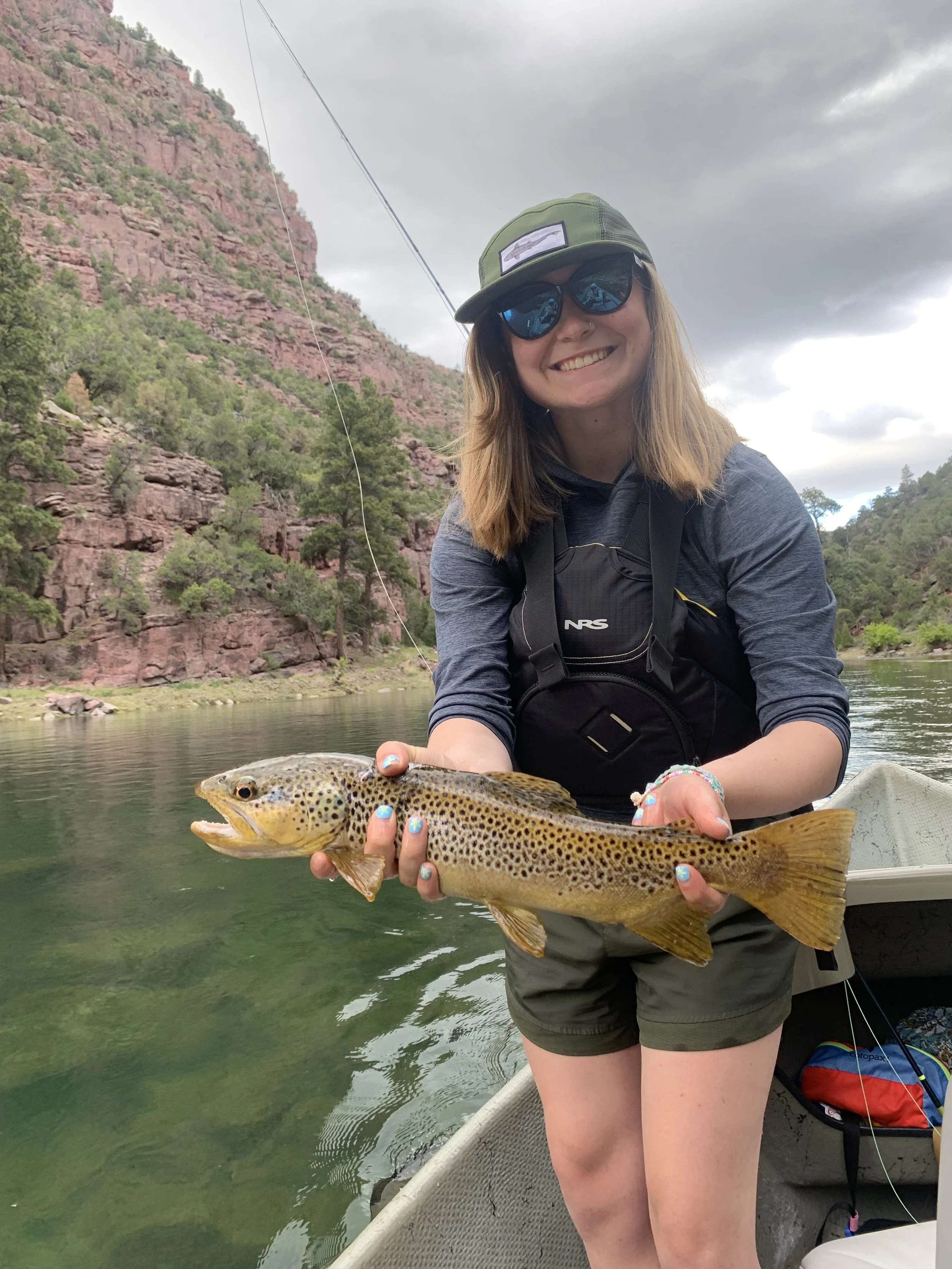 Scholarship — NAAMLP