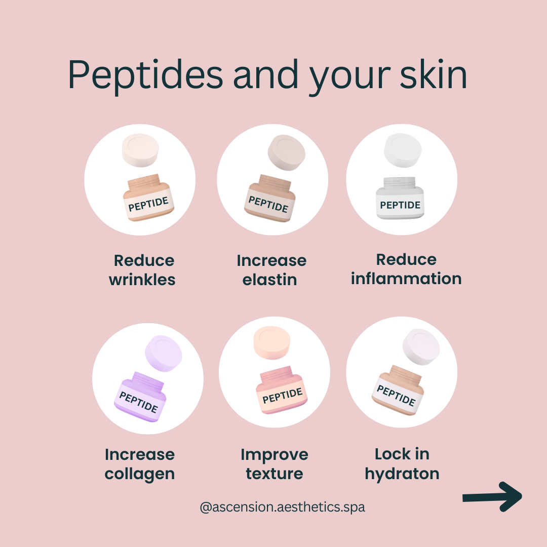 Peptides in skin care… — The Skin Study