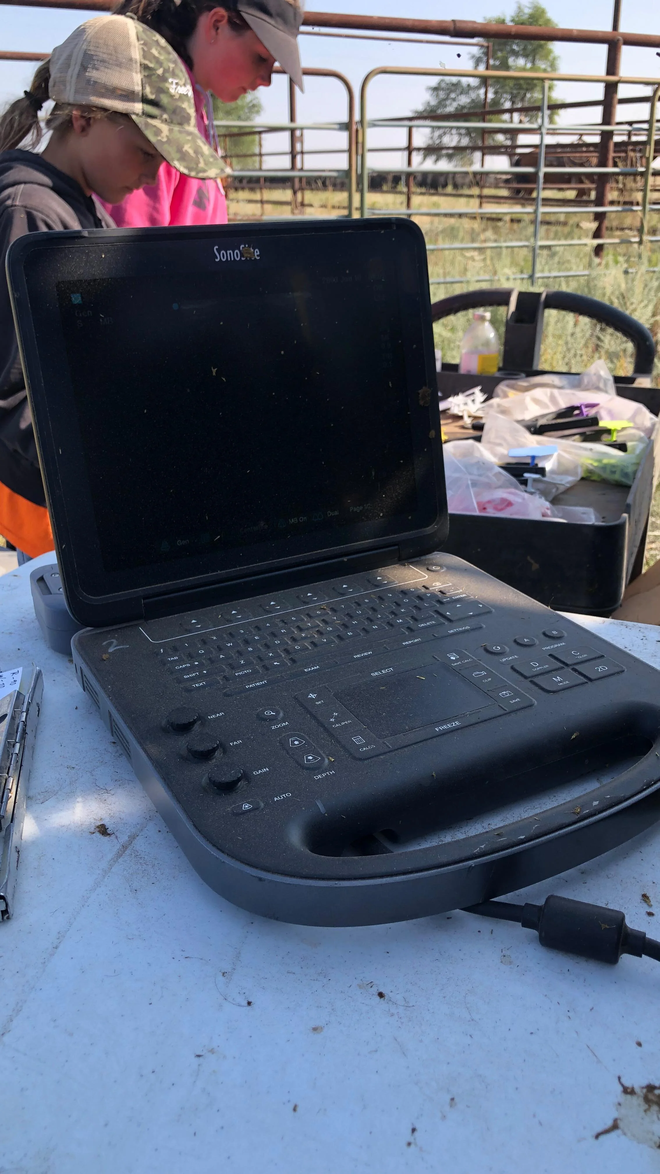 Rattlesnake Meat Company | Pasture-Raised Angus Beef | Pratt, KS