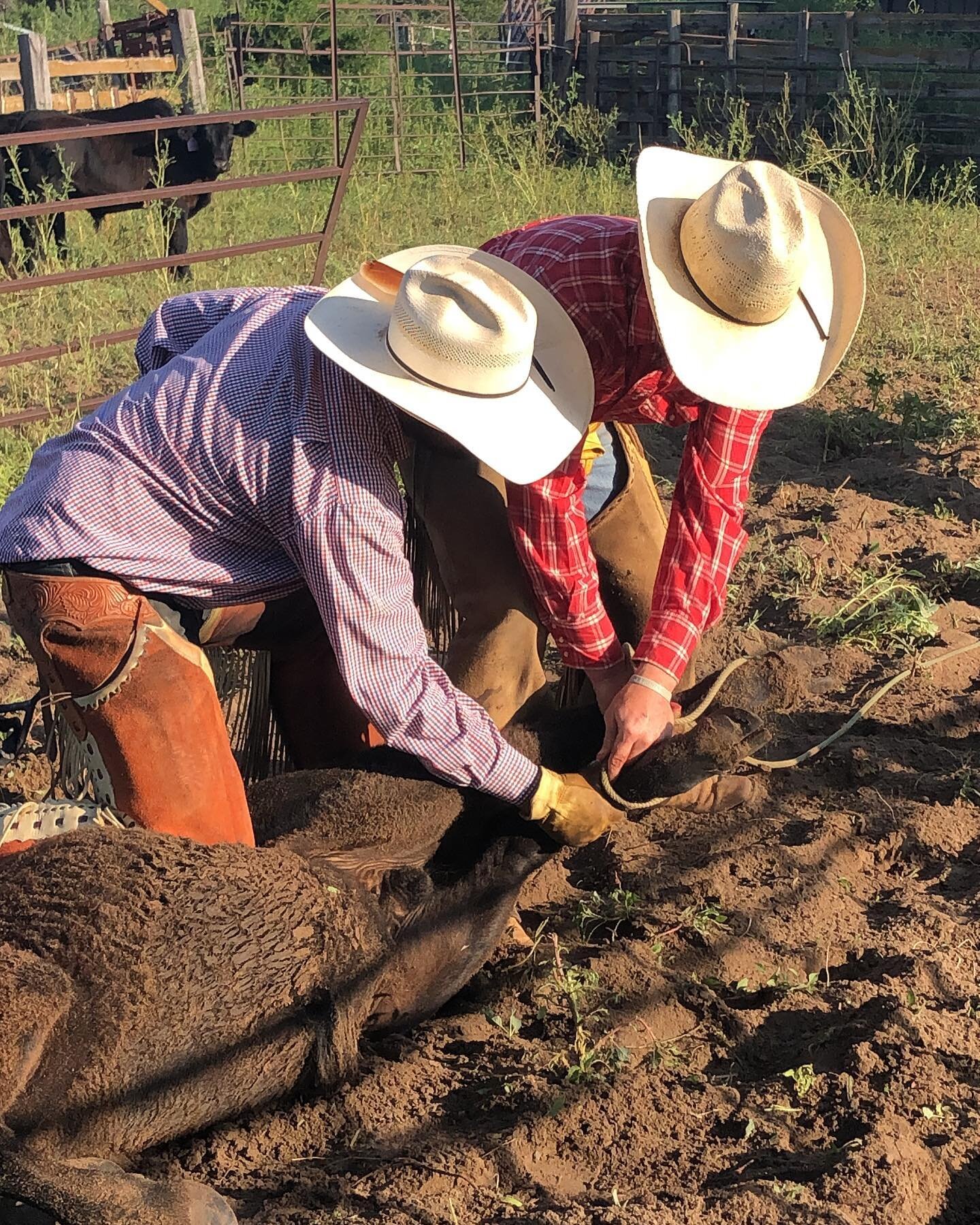 Rattlesnake Meat Company | Pasture-Raised Angus Beef | Pratt, KS