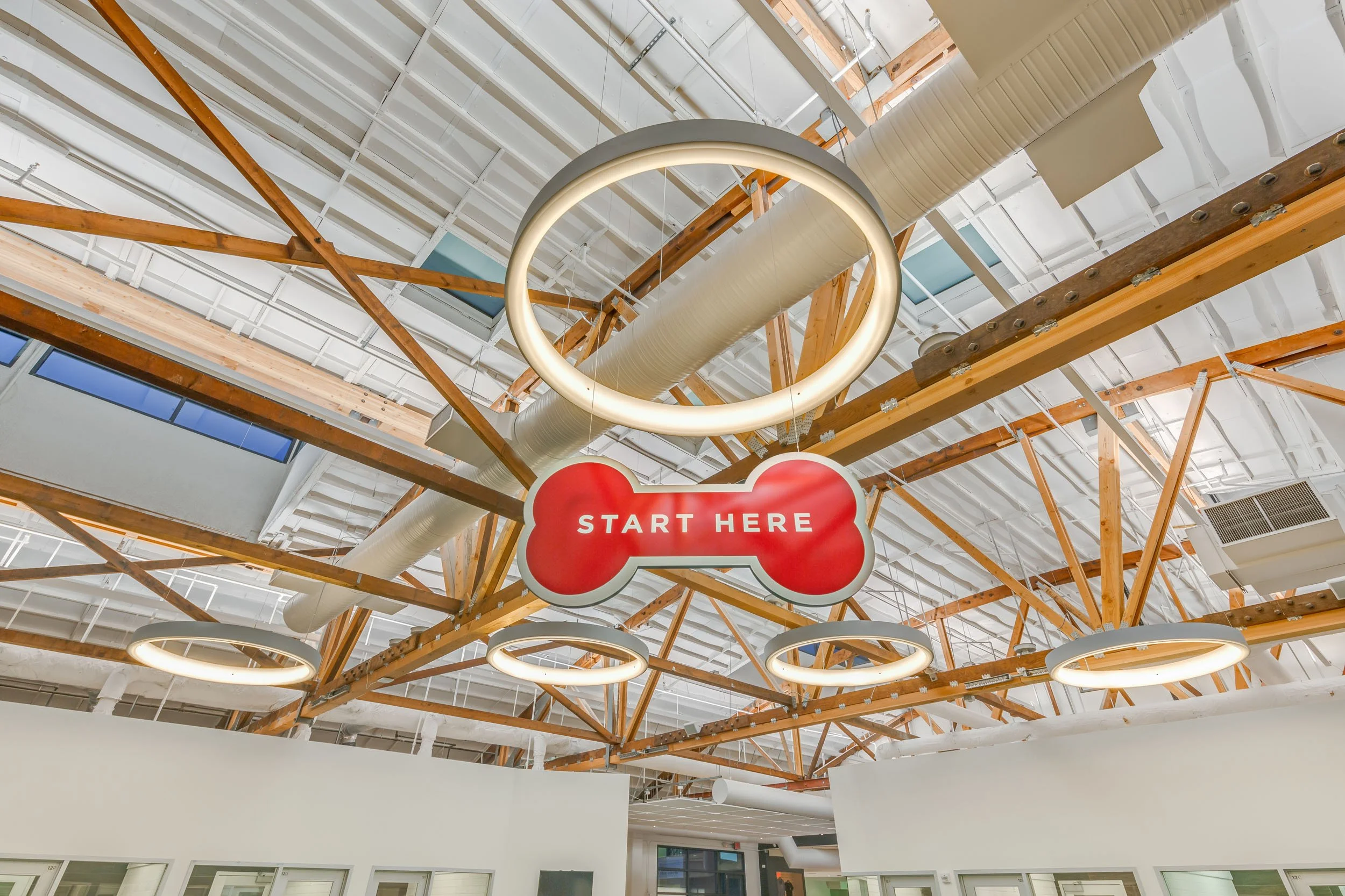 San Francisco SPCA — Banks Landl Lighting Design