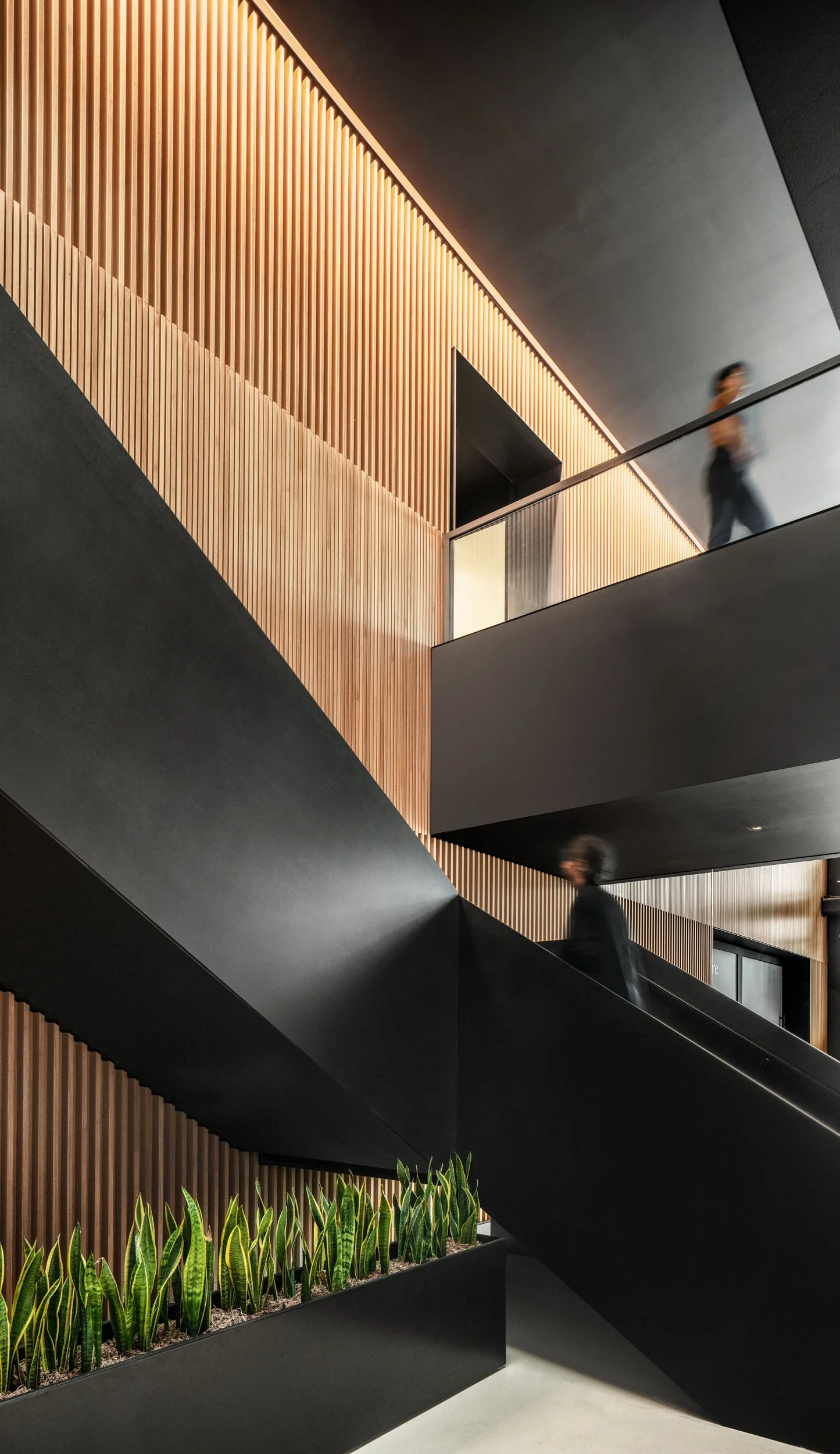 Lucid Experience Center — Banks Landl Lighting Design