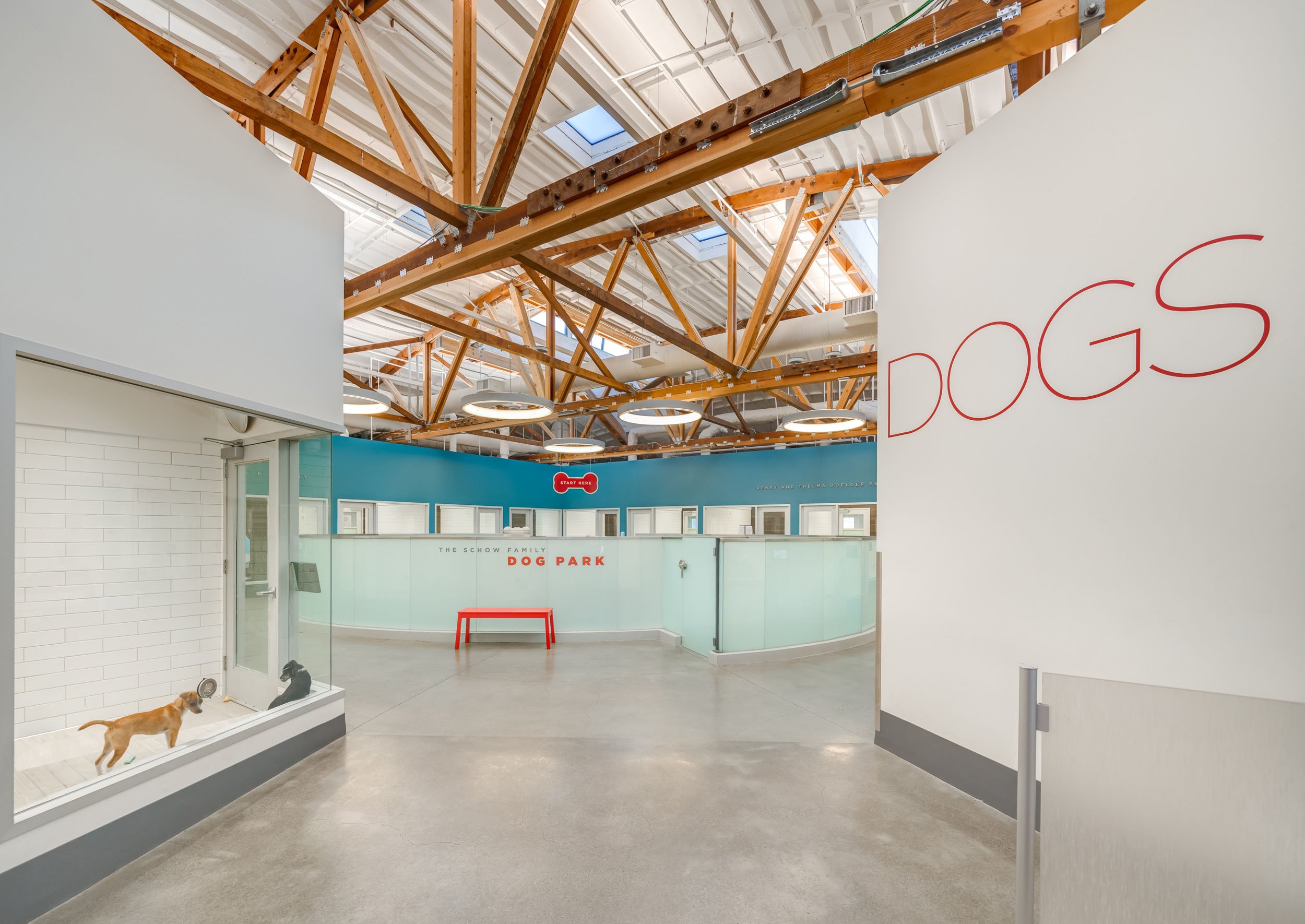 San Francisco SPCA — Banks Landl Lighting Design