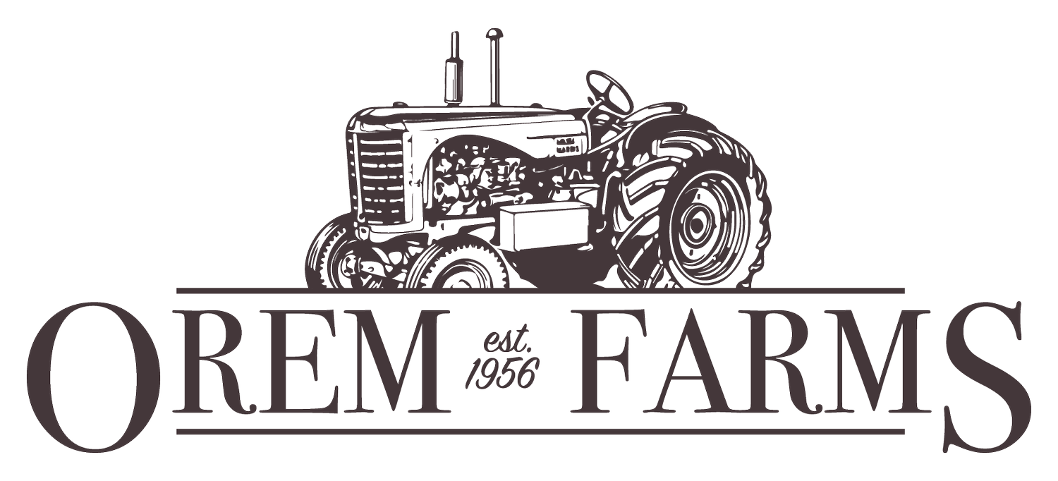 Orem Farms | Locally Raised Beef | Multi-Generational Farm | Howard ...