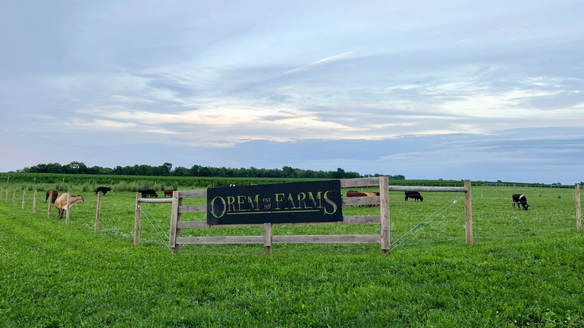 Orem Farms | Locally Raised Beef | Multi-Generational Farm | Howard ...