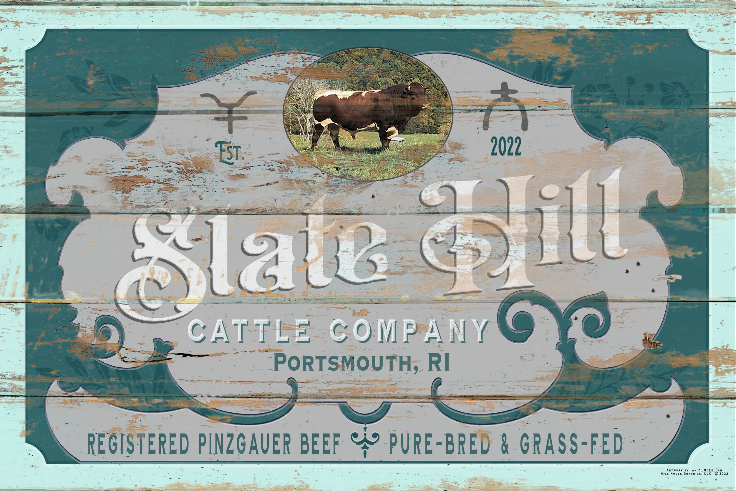 About Pinzgauers — Slate Hill Cattle Company