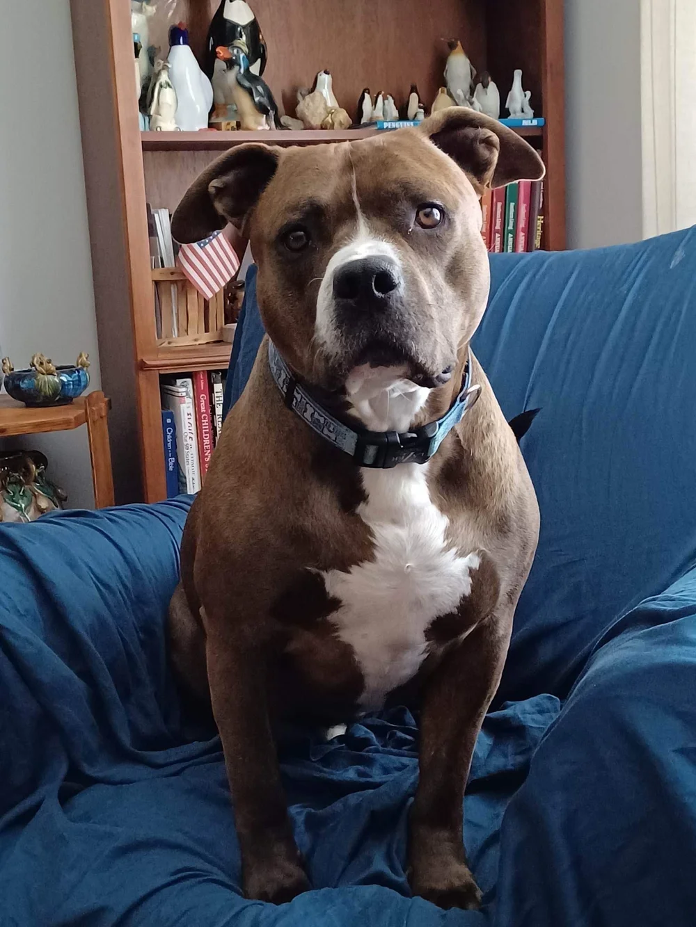 Contact our Team — Lexington Pit Crew