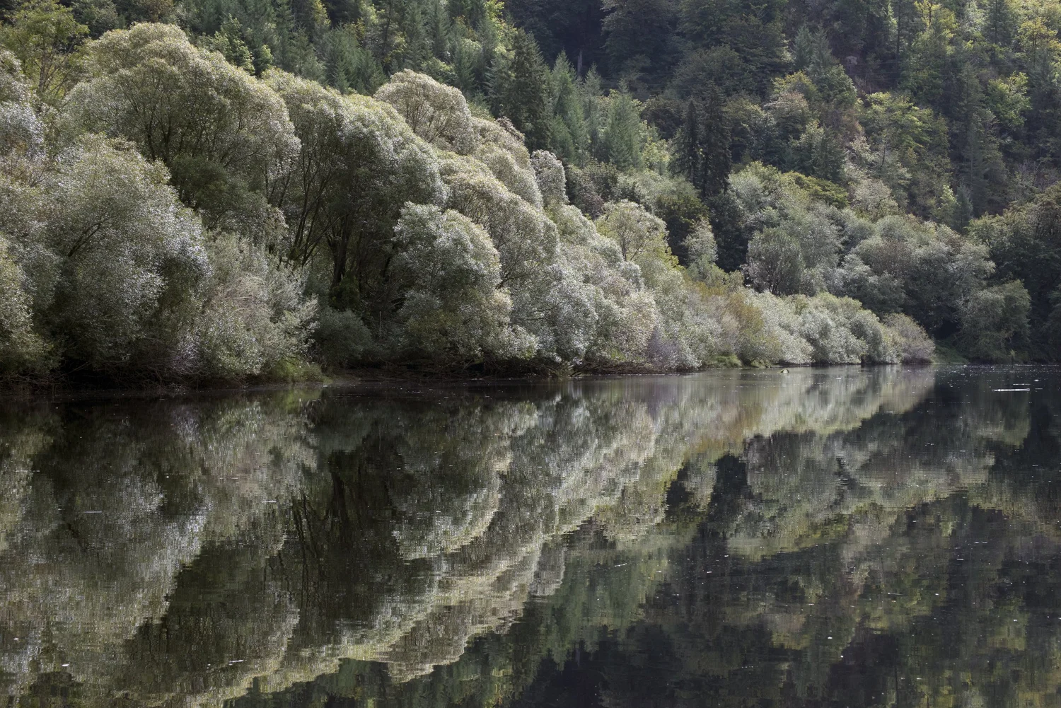 Resource Library — Oregon Land Justice Project