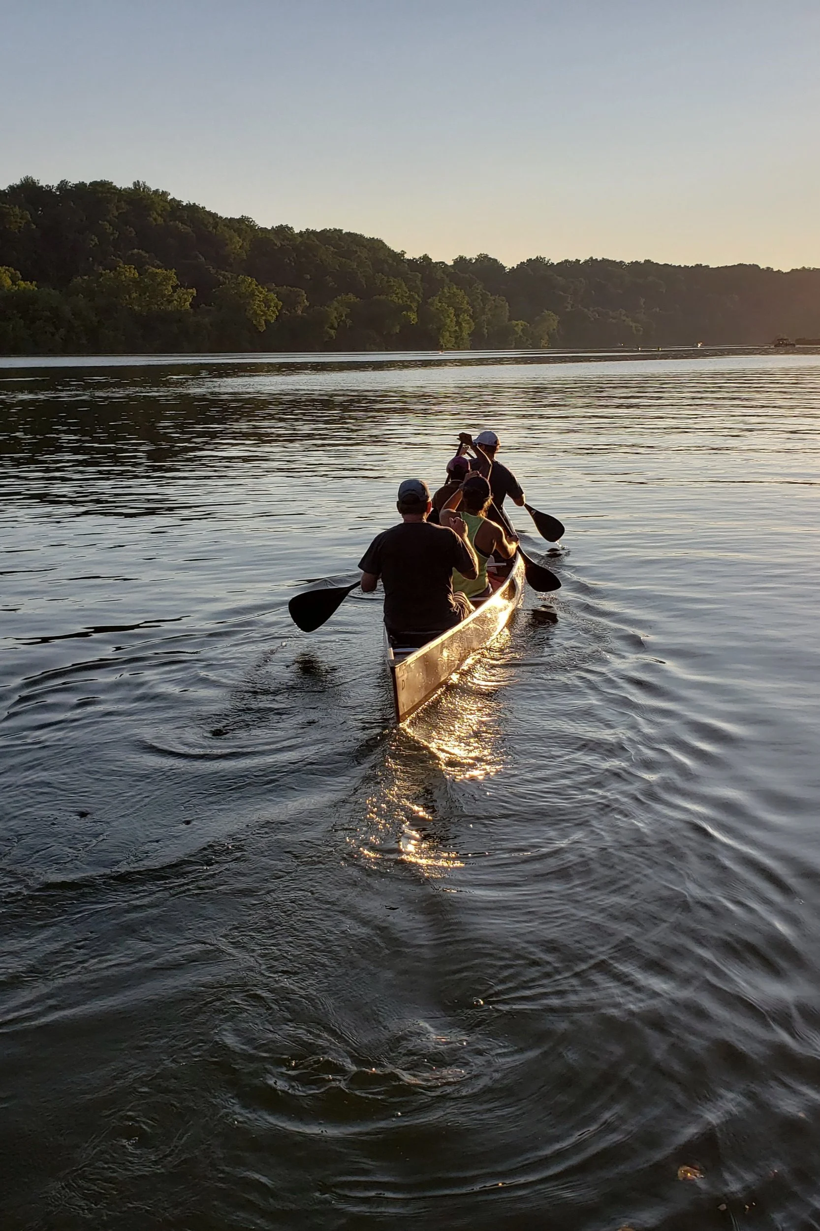 Engage — Strogen Strategic Sustainability, LLC