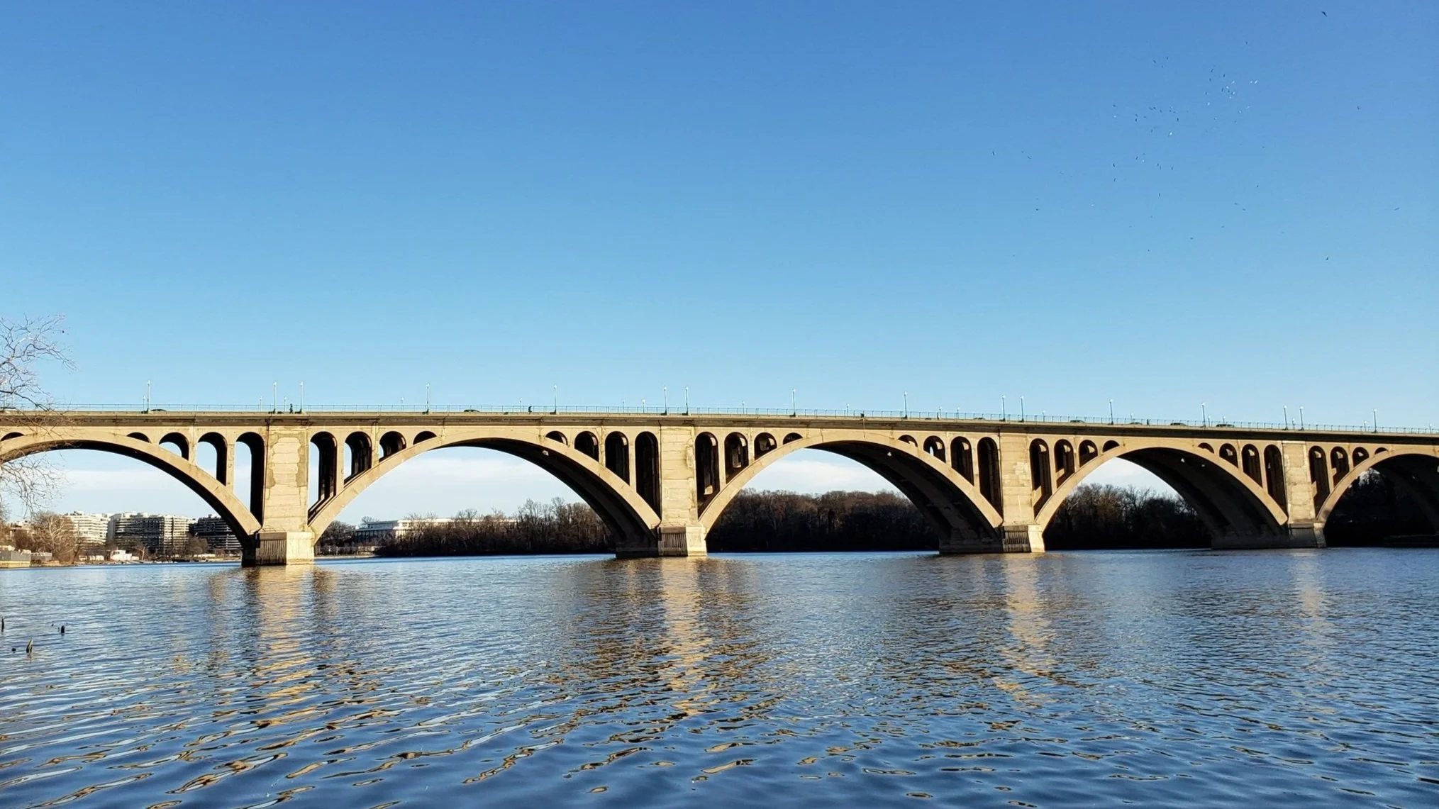 Strogen Strategic Sustainability, LLC