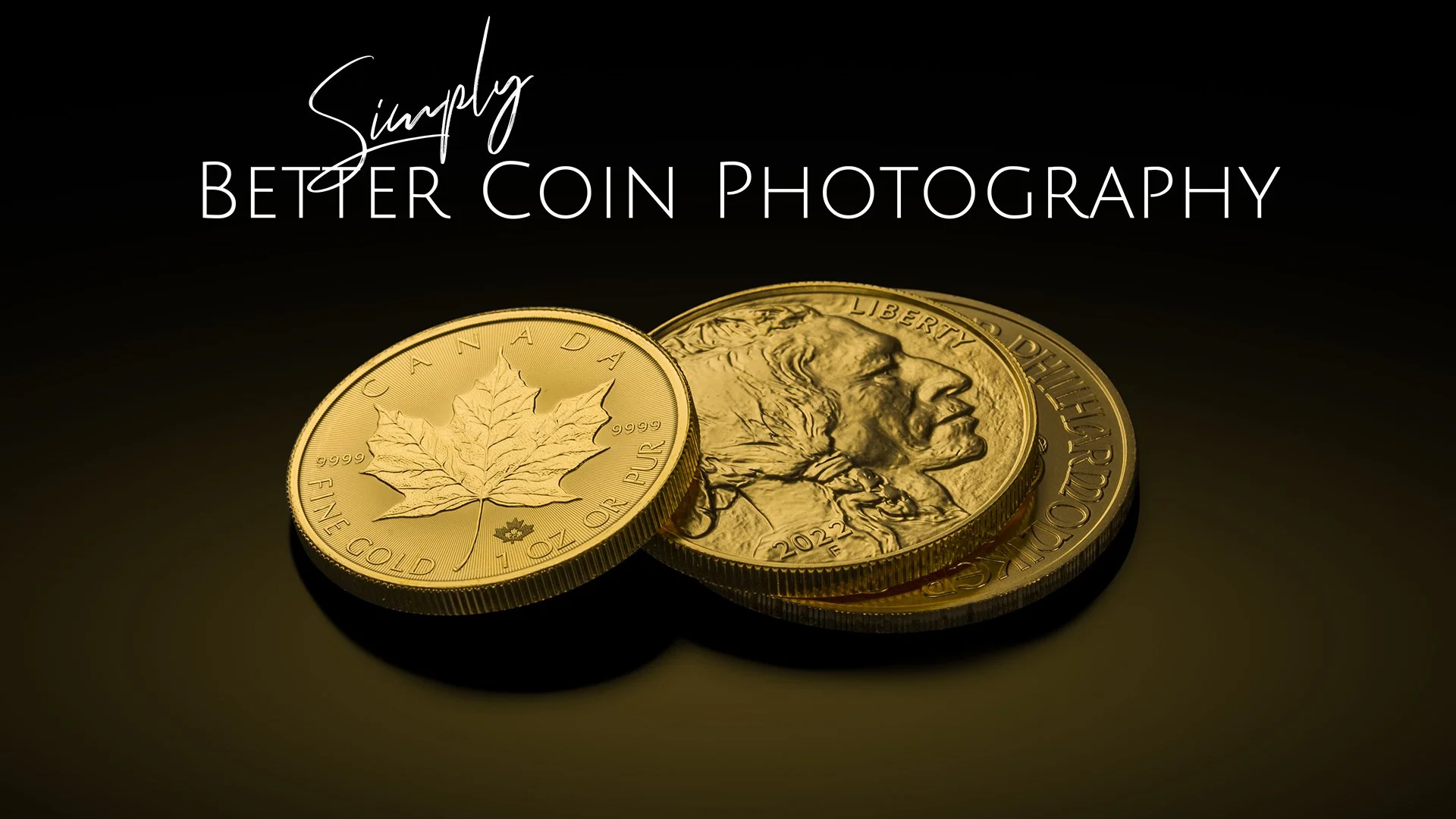 HipShot Photography | Coin Photography Studio-Coin and Numismatic Imaging