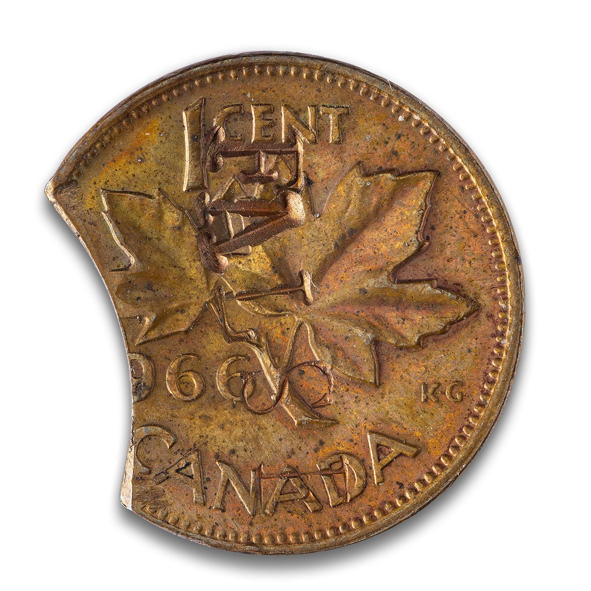 Coin Photography Studio | HipShot Photography -Coin and Numismatic Imaging