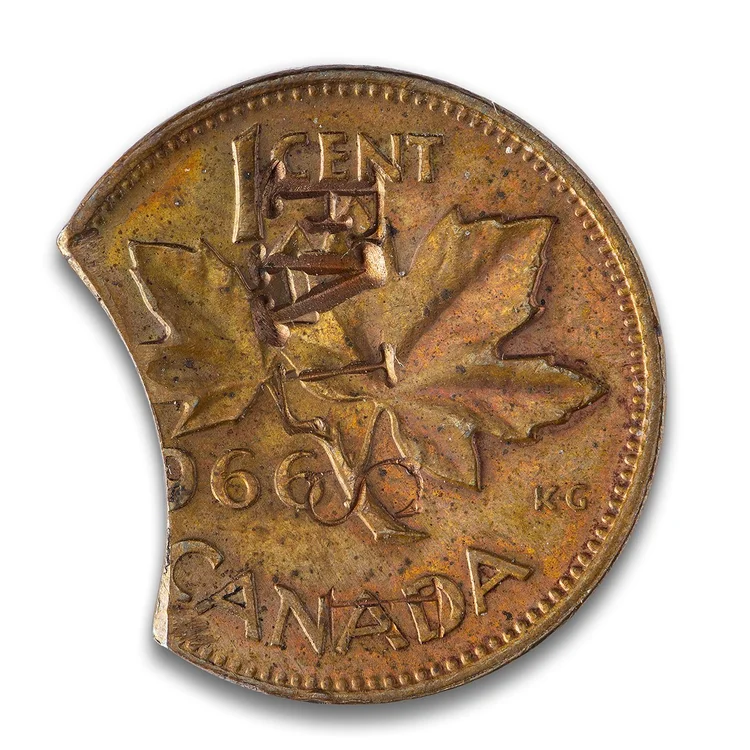 Coin Photography Studio | HipShot Photography -Coin and Numismatic Imaging