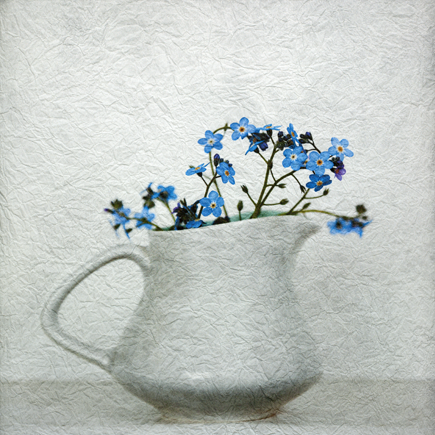 Helen Sear