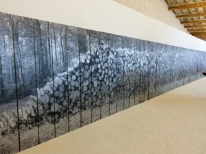 Helen Sear