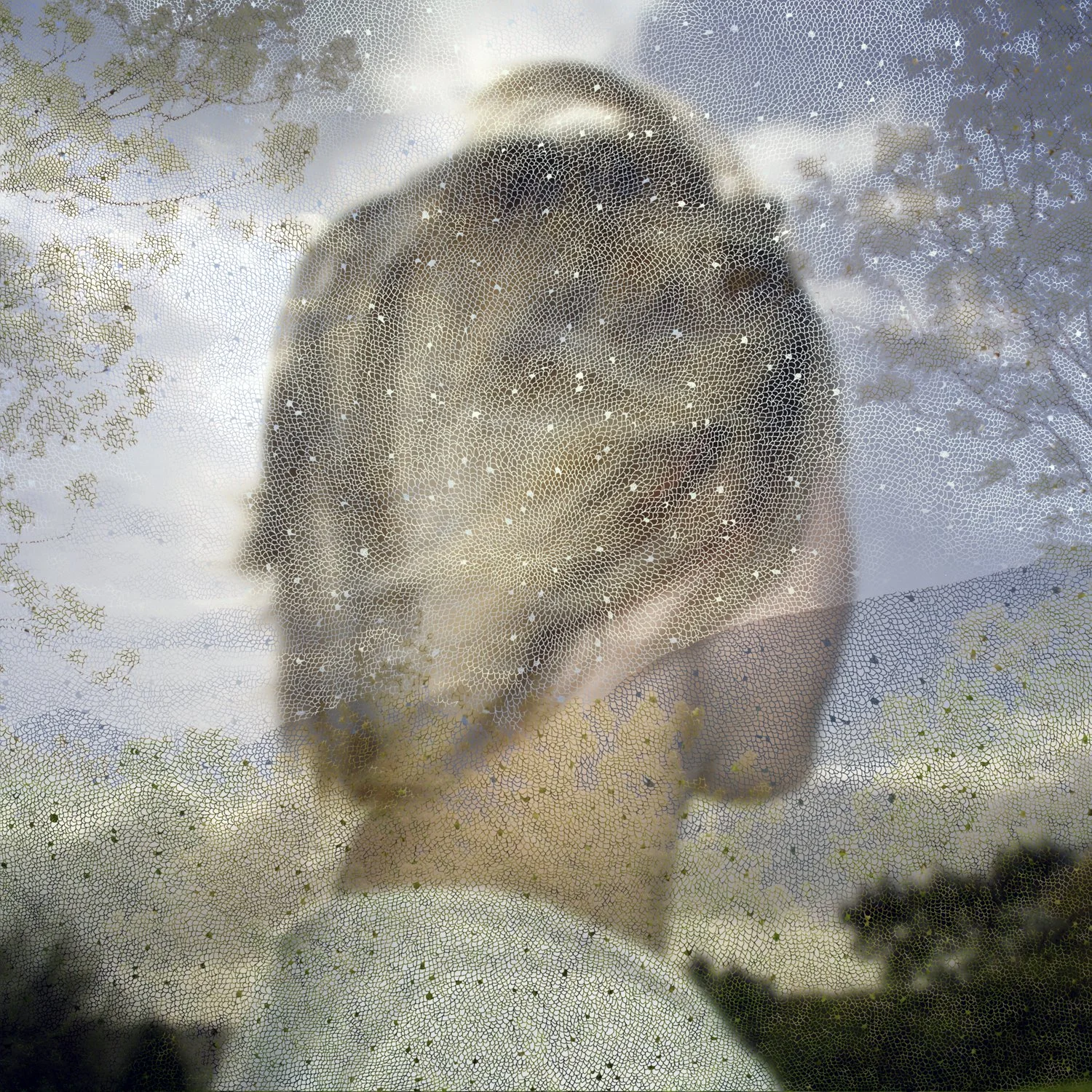 INSIDE THE VIEW – 2004-2008 — Helen Sear - RA