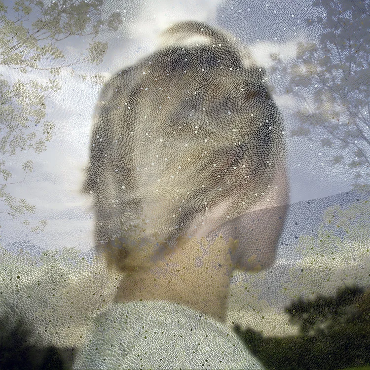 INSIDE THE VIEW – 2004-2008 — Helen Sear - RA