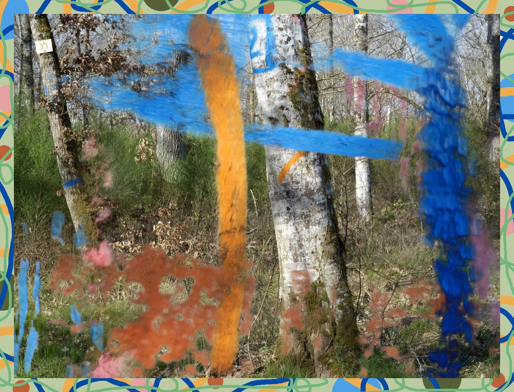 SPIRITS OF A PAINTED FOREST 2020 - PRESENT — Helen Sear
