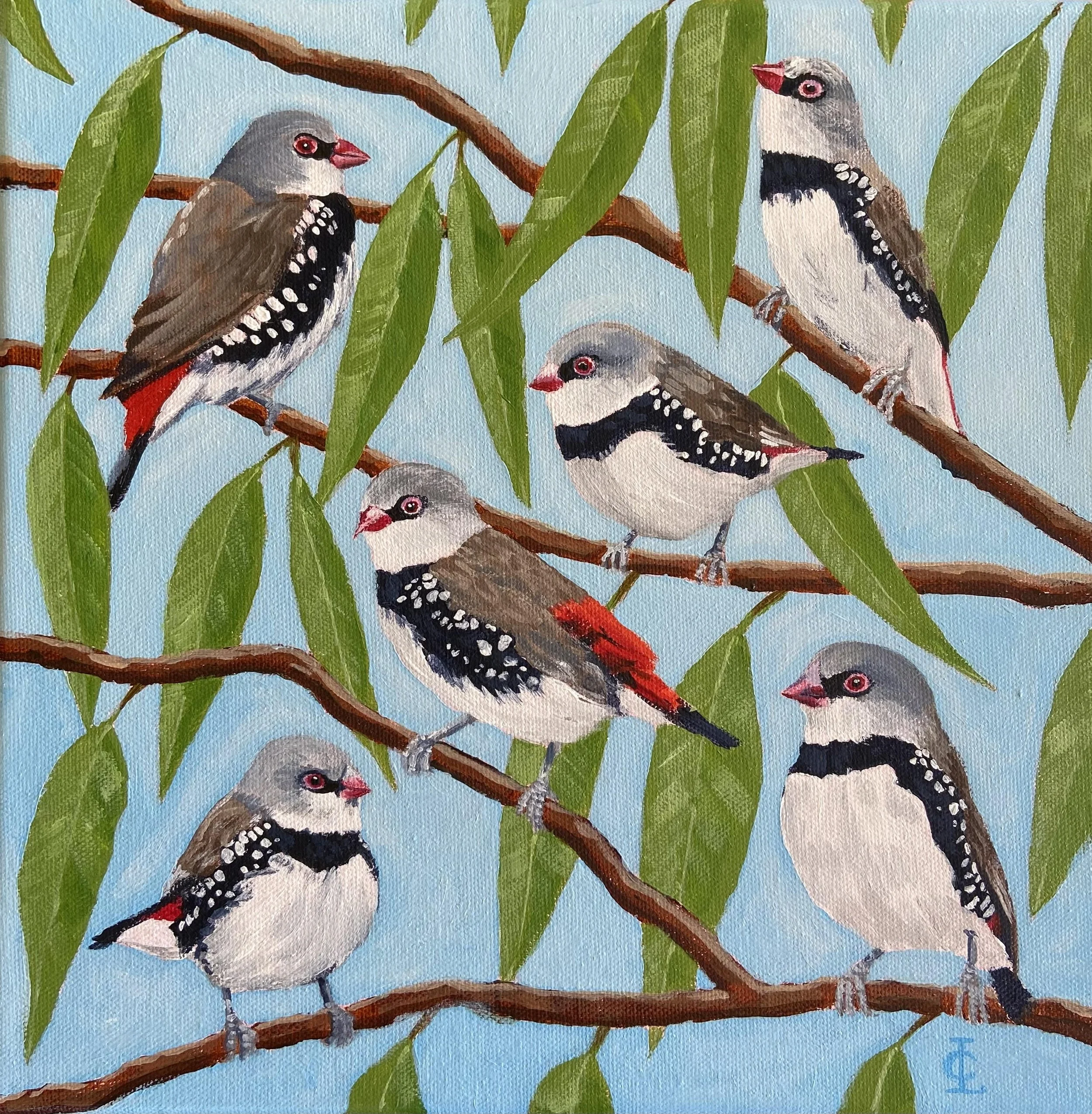 Shop — Lucinda Cotter Art