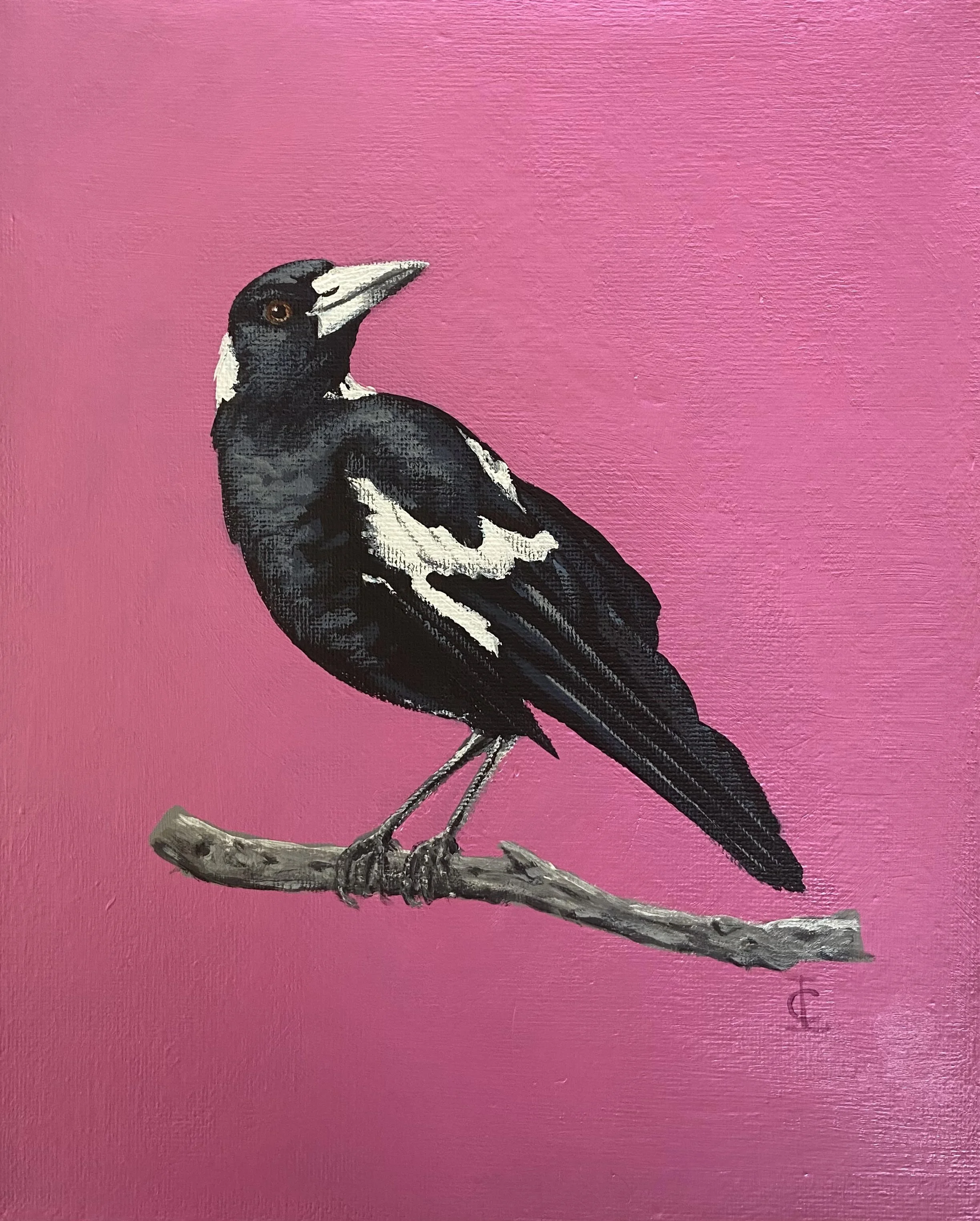 Shop — Lucinda Cotter Art