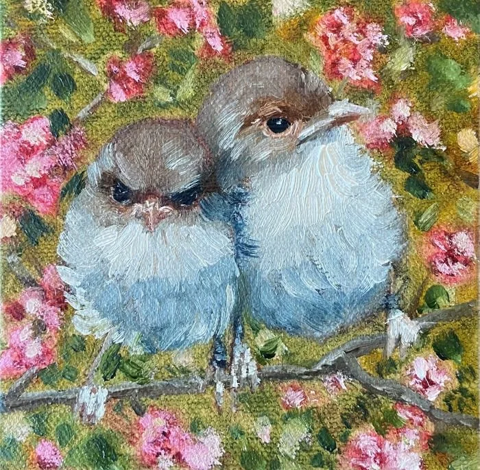 Shop — Lucinda Cotter Art