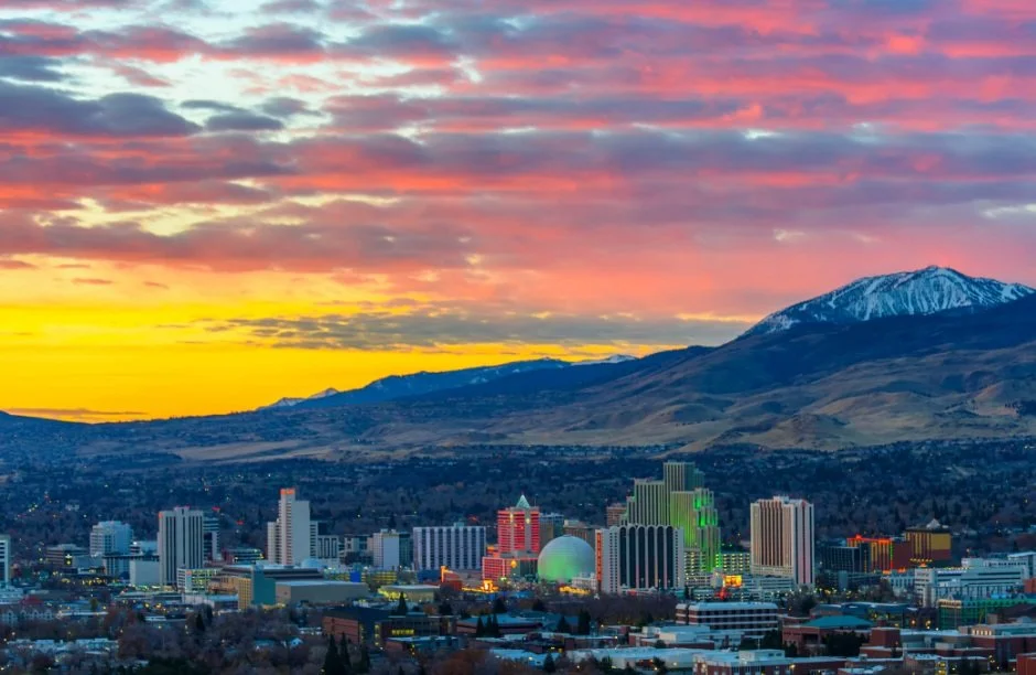 NV - Reno — Bin Masters