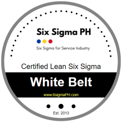 Lean Six Sigma Black Belt Certification Program