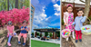 Can’t-Miss Spring Events in Howard County, MD (2025 Guide) — The ...