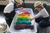 8 Rainbow Theme Activities For World Autism Day - Believe In A Spectrum ...