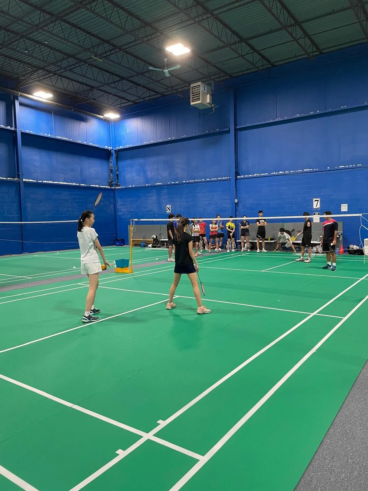Lee's Badminton Professional Training Centre - Markham and Mississauga