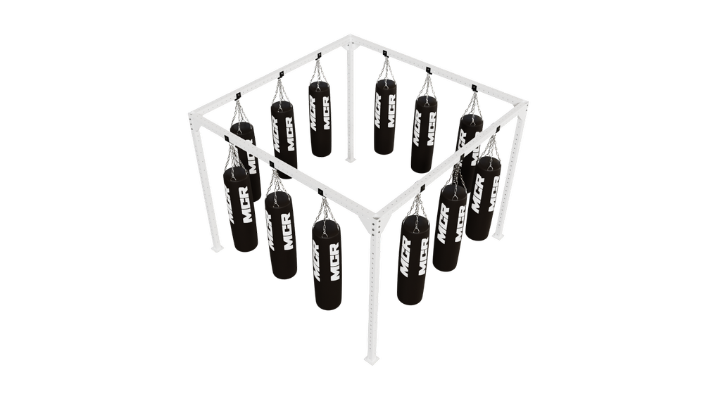 Multi-discipline MMA and boxing rig — Moduflex Custom Rigs