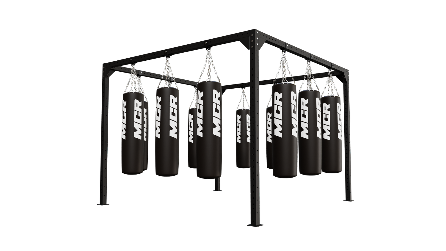 Multi-discipline MMA and boxing rig — Moduflex Custom Rigs