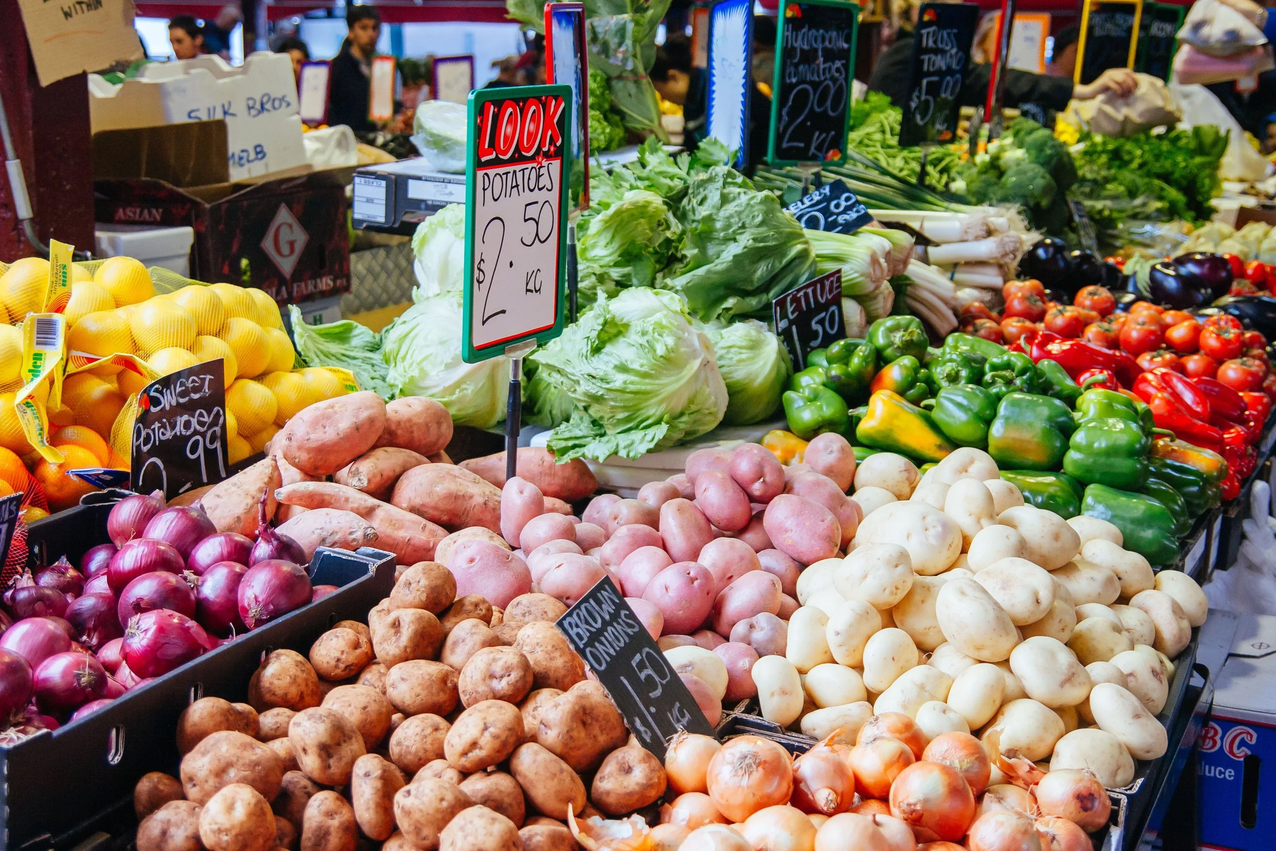 BMSB Fumigation — Western Container Services Sydney