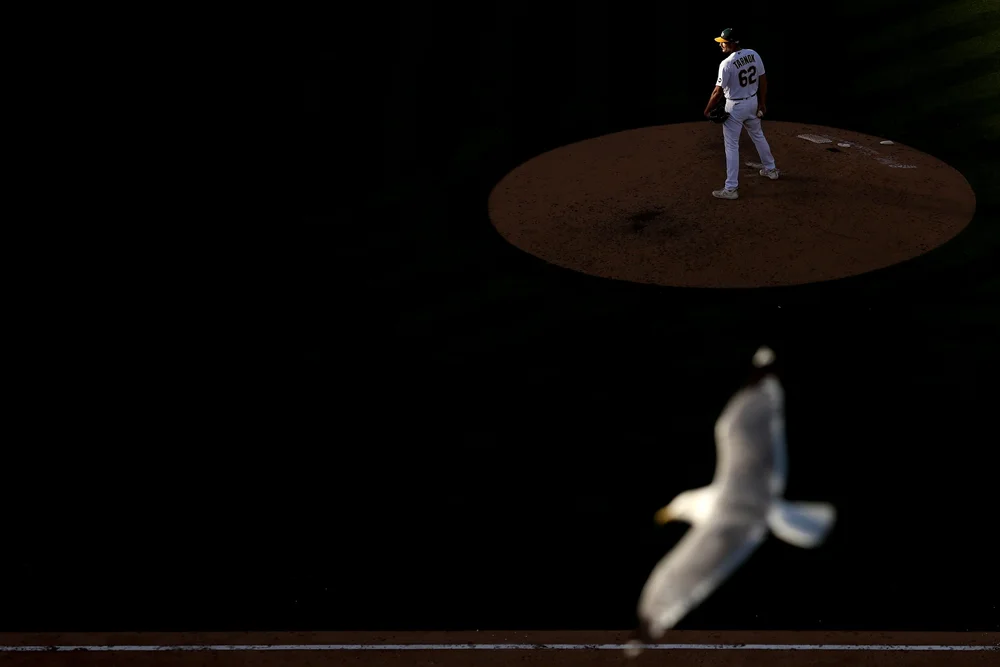 Past Winners — Professional Baseball Photographers' Association