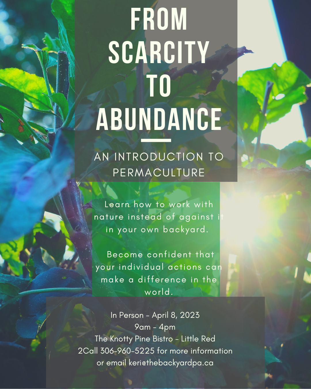 Introduction to Permaculture — The Backyard and Compost Corner
