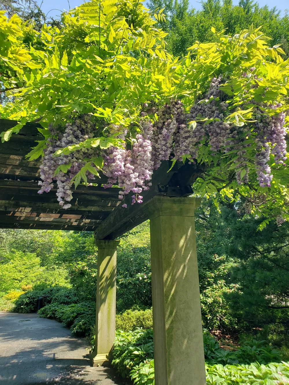 Flowers in Brooklyn, New York: A Guide to the Best Botanical Wonders ...