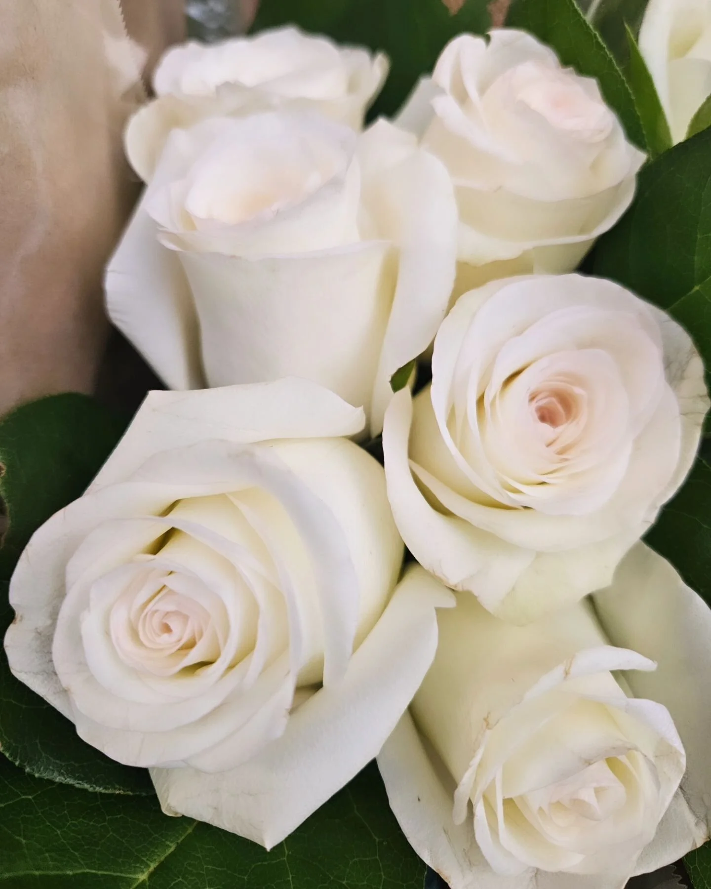 Summer Fridays — Brooklyn Flower Shop