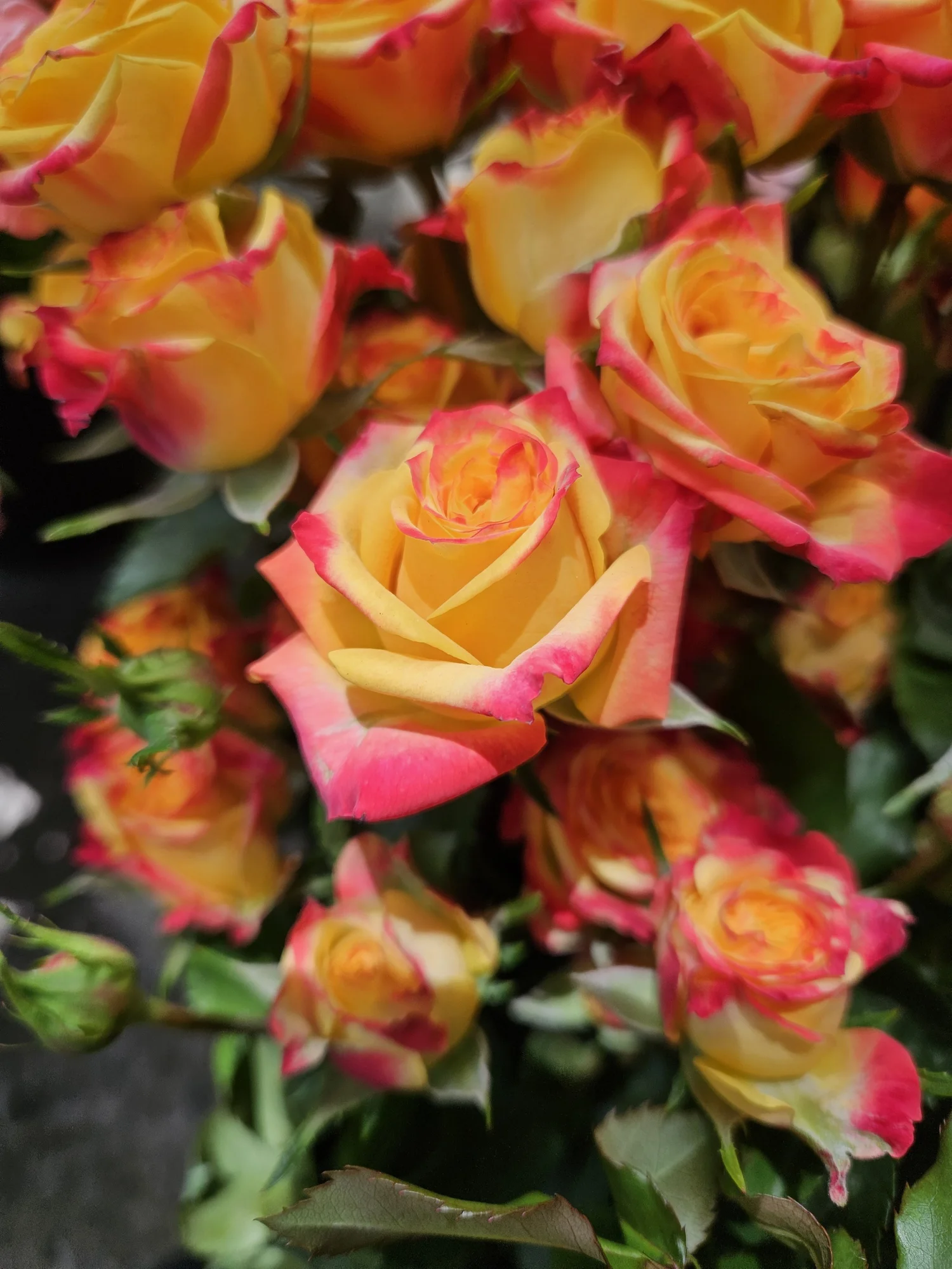Brooklyn Flower Shop