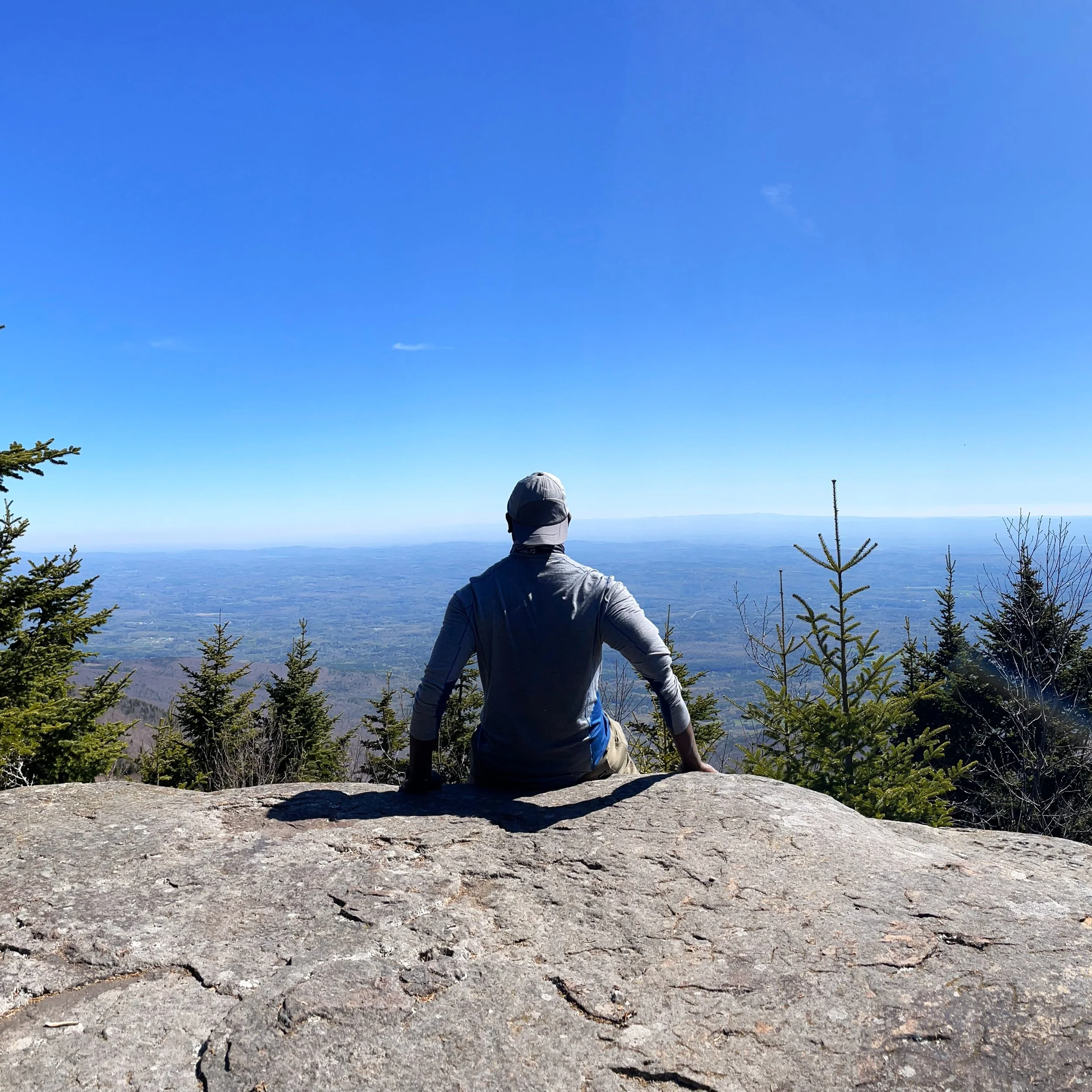 Escarpment Trail Race Reports