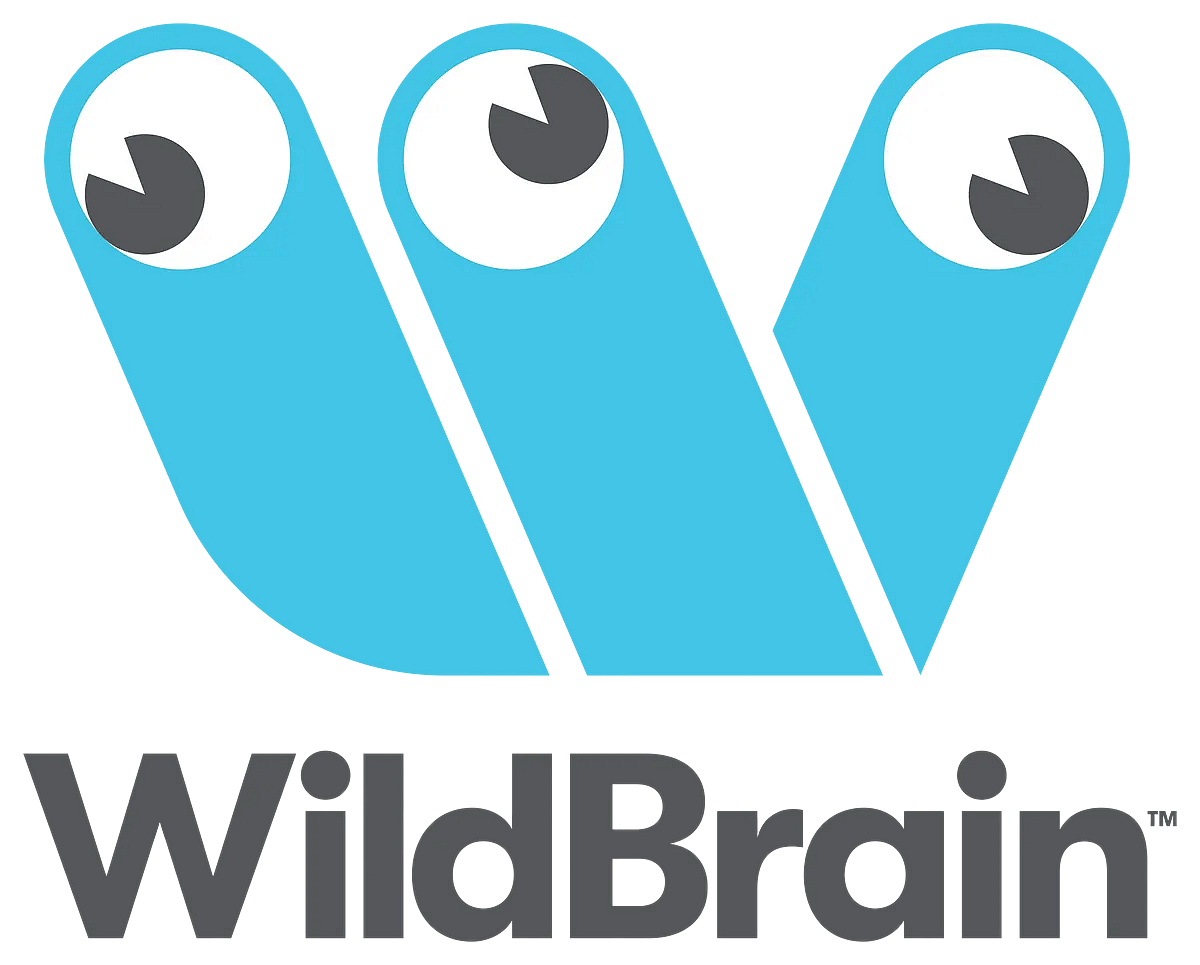 Jan Jobs Roundup: Blizzard, WildBrain, Dreamhaven — Cara - Artist ...