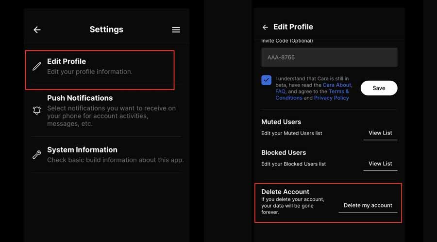 Frequently Asked Questions — Cara - Artist Social & Portfolio Platform