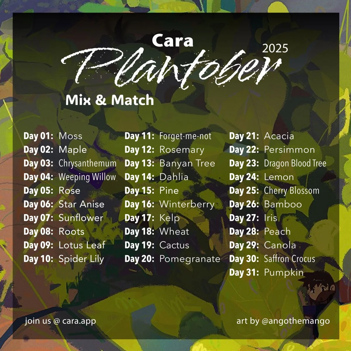 Cara | Artist Social & Portfolio Platform