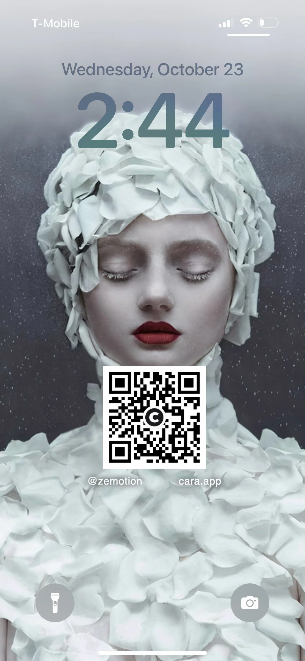 Cara | Artist Social & Portfolio Platform